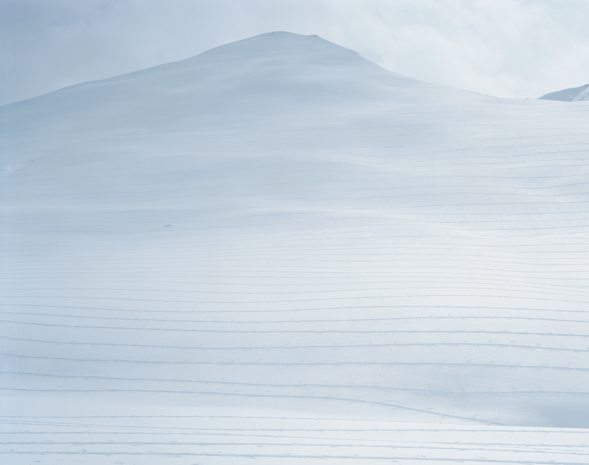 Flechtner | Collection Pictet