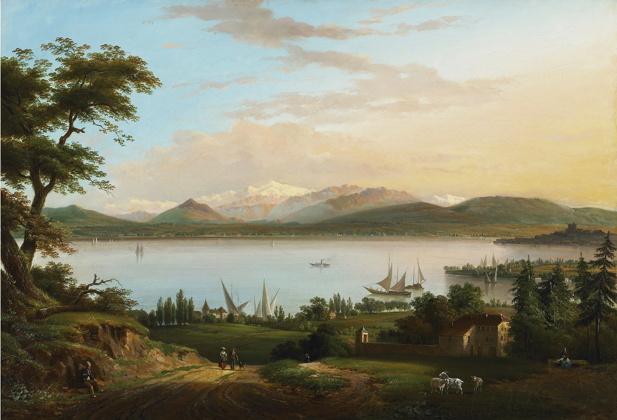 Frégevize | Collection Pictet