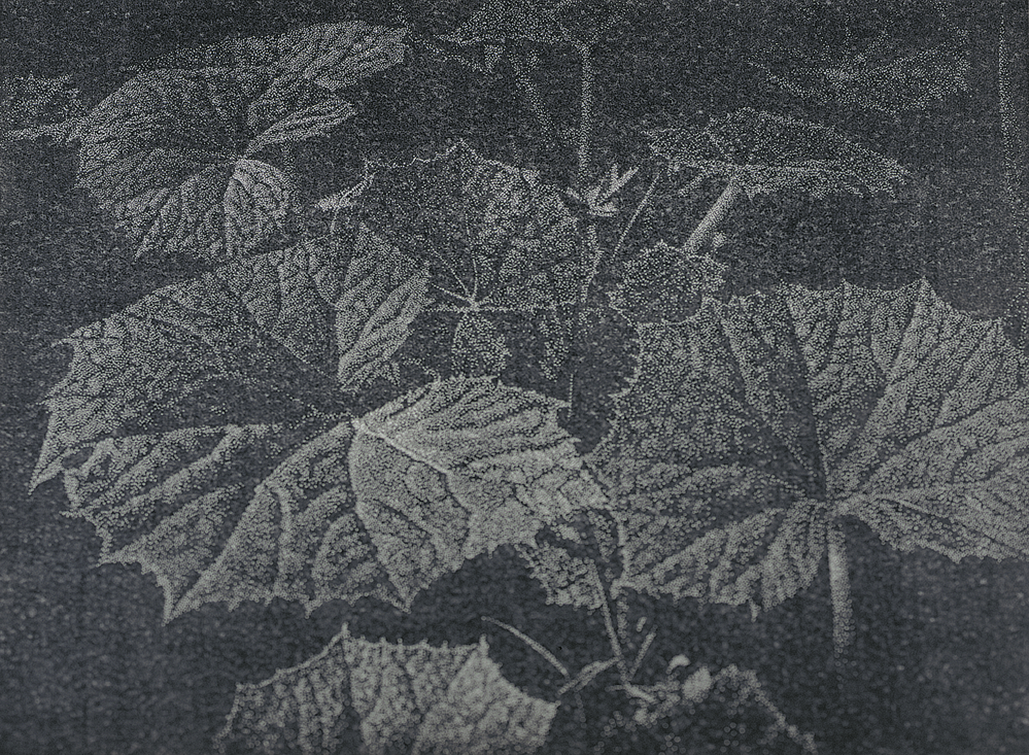 Franz Gertsch Woodcuts